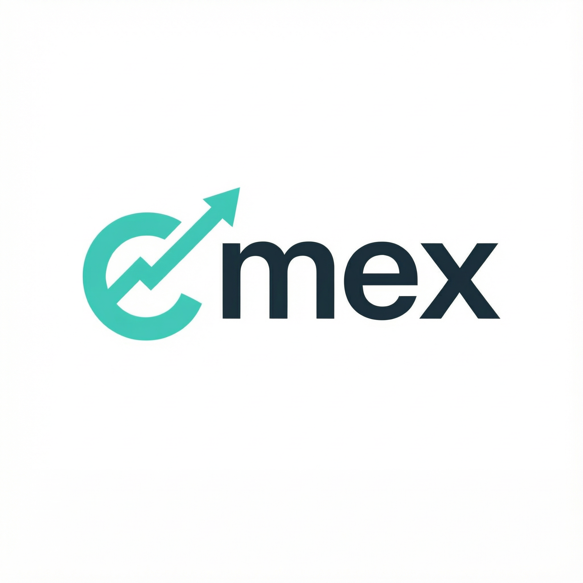 EMEX Accounting Records & Bookkeeping Organization | UAE Financial Services